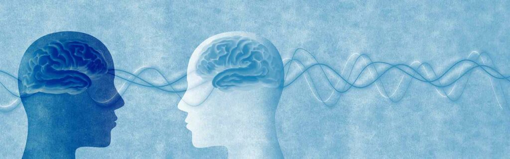 ¿Qué es la Neurociencia? Origen y Ramas | Terapias Bienestar